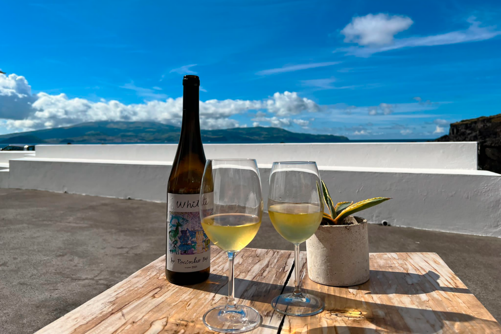 Discover The Unique Flavors Of Our Wines | PocinhoBay